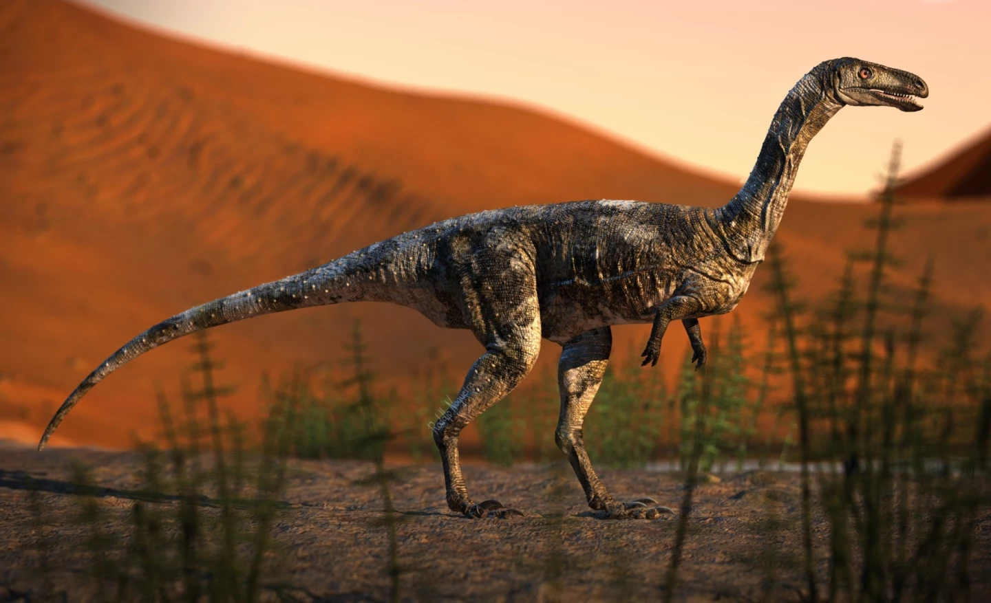 New carnivorous dinosaur brandished twice the toe claws of a velociraptor