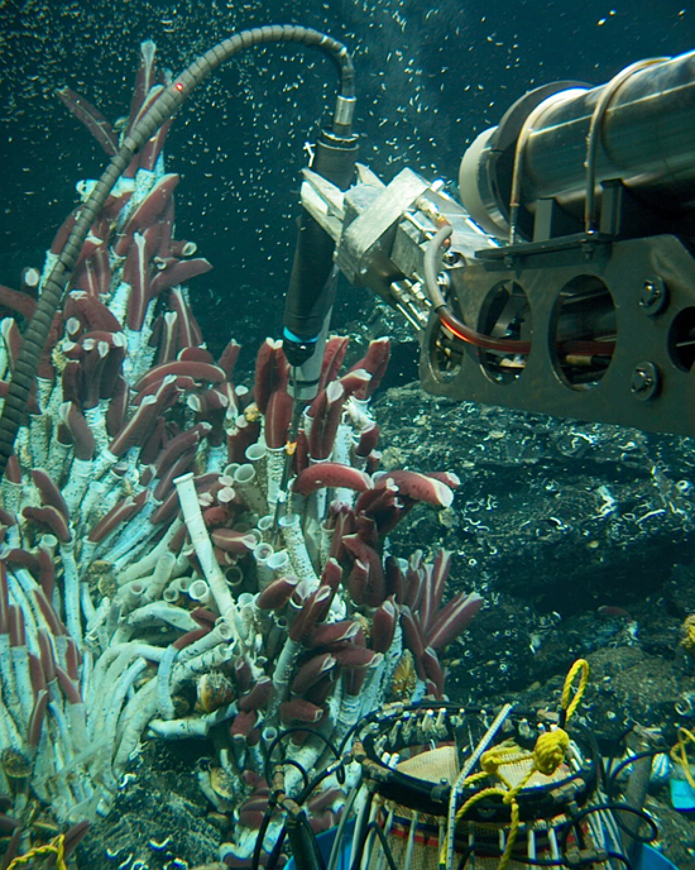 Upgraded Alvin submersible sets sail