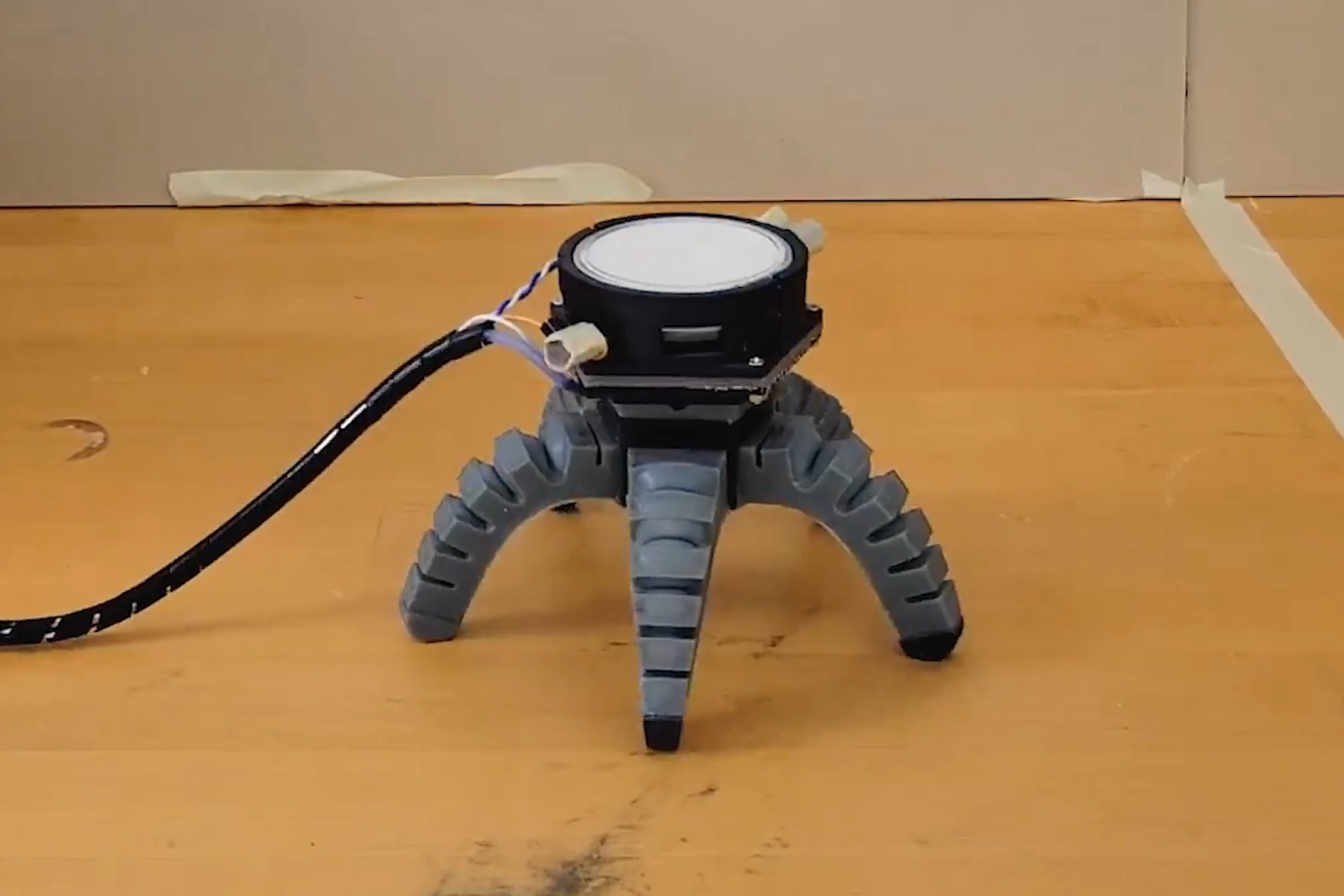 Fungus learns to drive in "biohybrid" robots