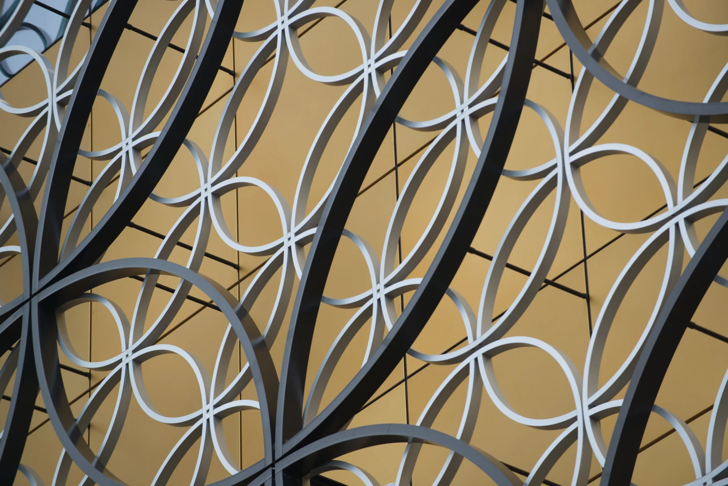 What lens do I need? A guide to buying your next camera lens