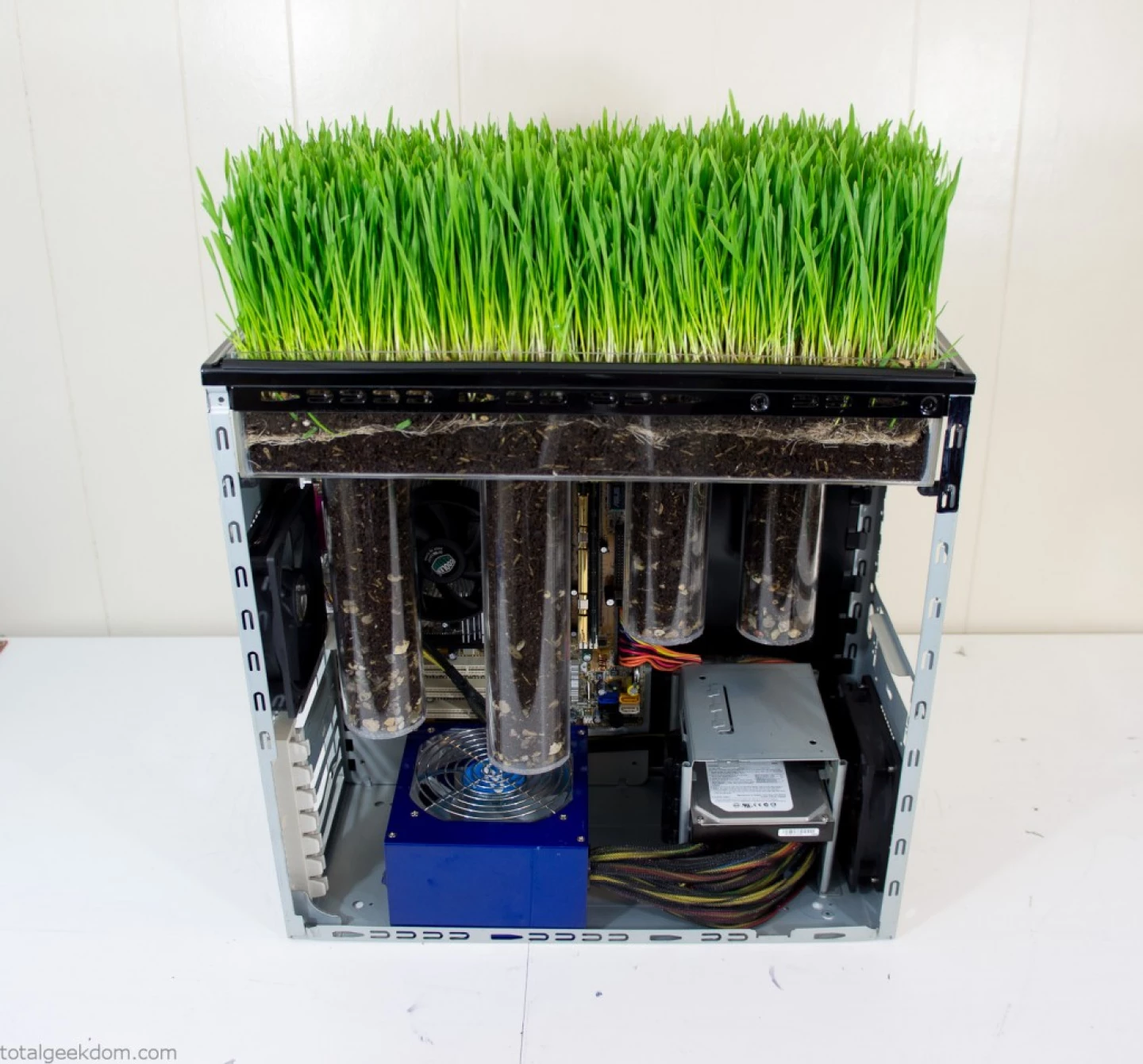 Home-built "Bio Computer" runs Linux, grows wheatgrass