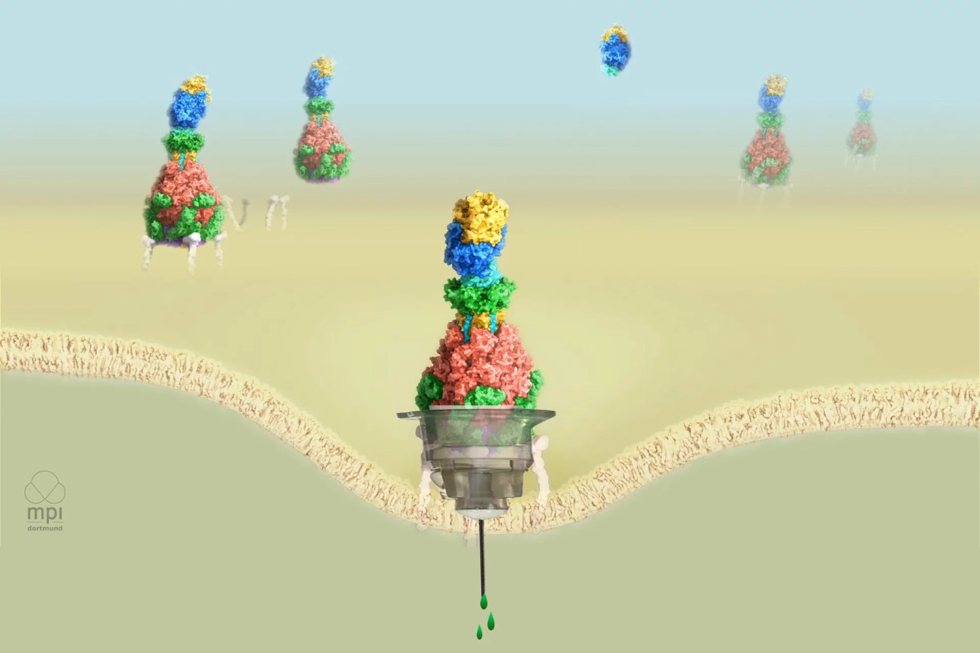 Hijacking bacteria's lethal injections allows nano-syringes for drugs