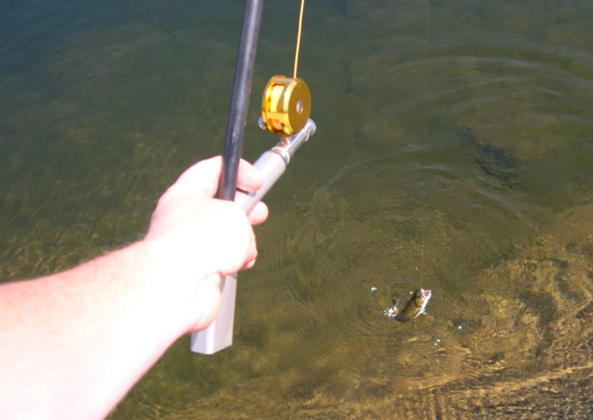 Together at last - the fishing rod and the rifle