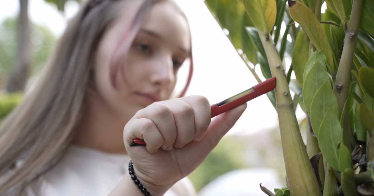 Color-sensing Quill stylus takes its cues from the world around it