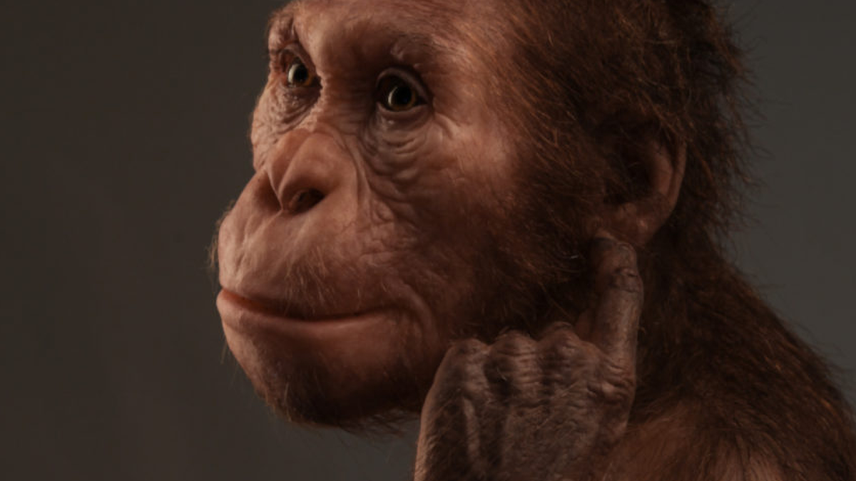 australopithecus sediba diet