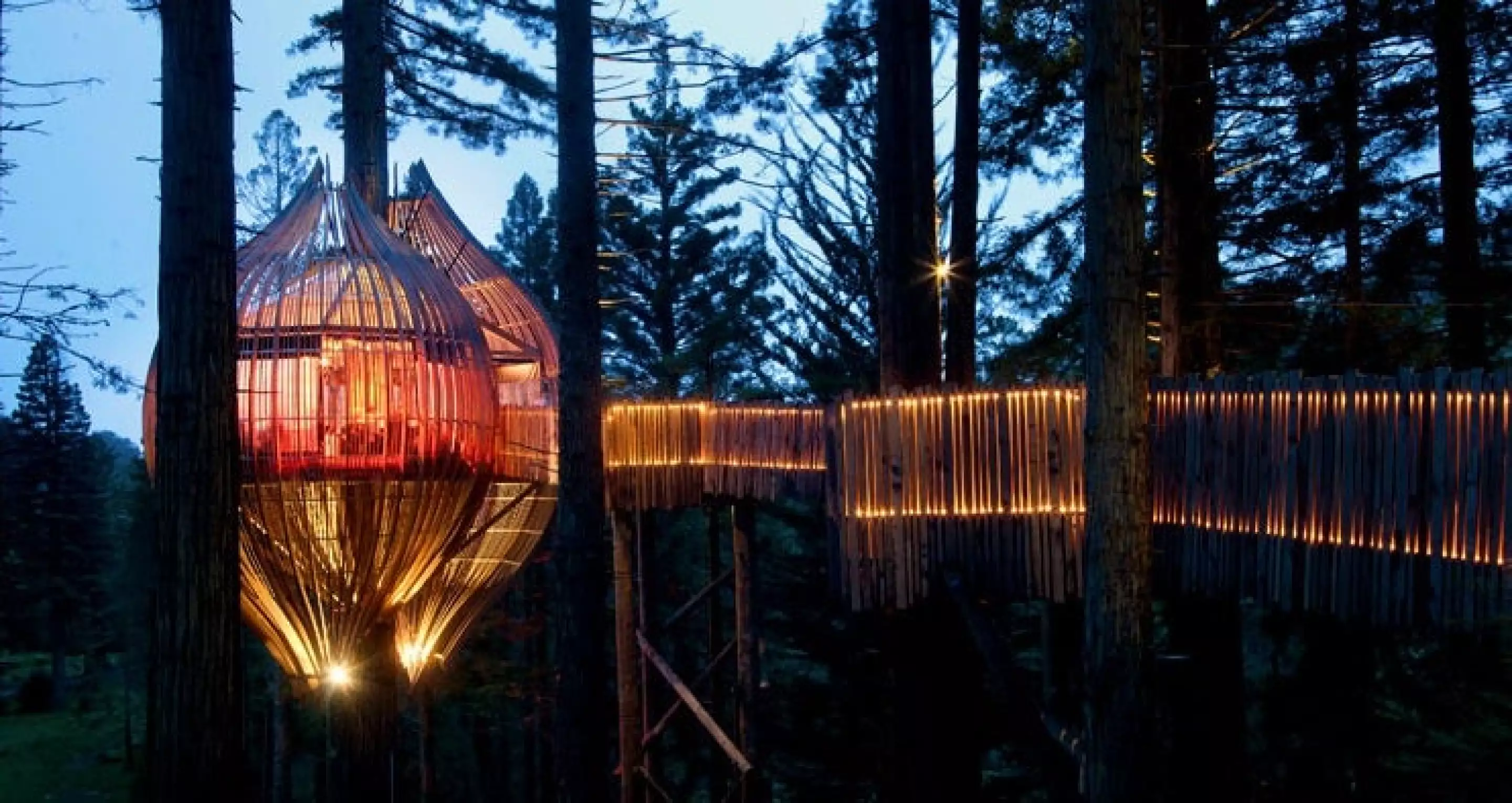 Gallery: Tremendous treehouses to coax big kids towards the canopy