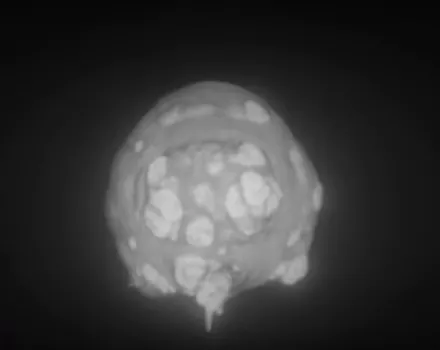 Classified US nuclear test films saved for posterity