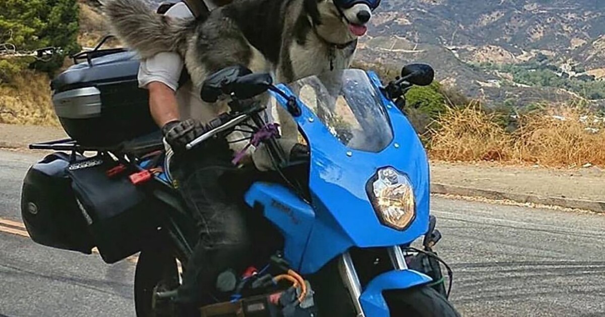 "Electric Terry" interview part 2: The Ironbutt, Charger the dog and ...