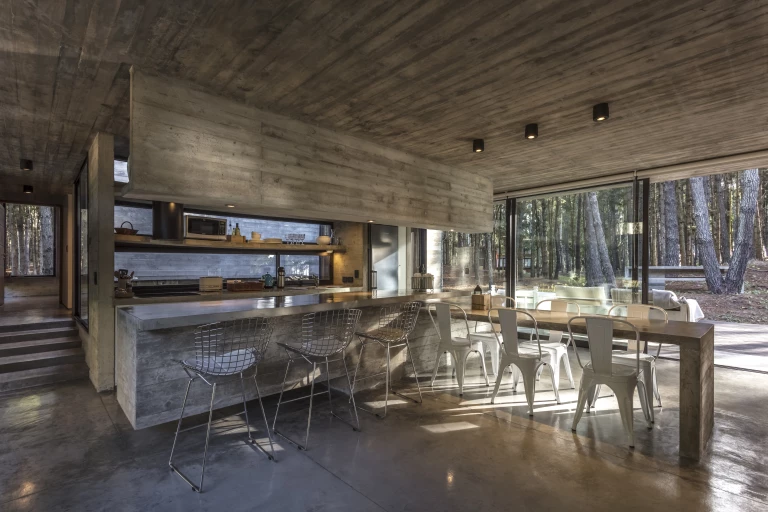 Striking Forest House keeps it concreted and classy on wooded coastline