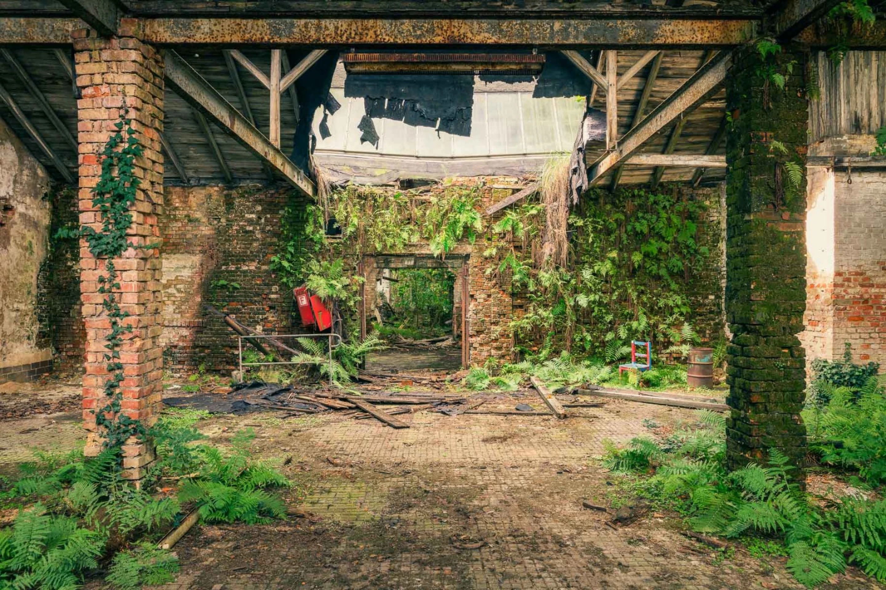 Nature strikes back in "The Beauty of Decay" photographic series