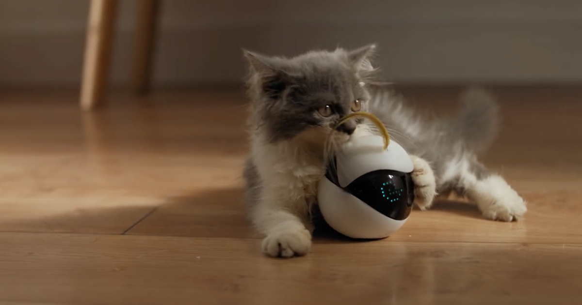 Autonomous robot keeps cats entertained while you're away
