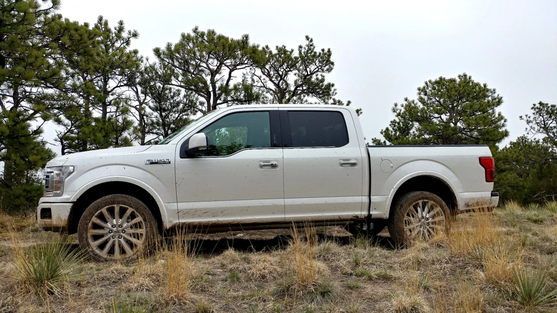 2019 Ford F-150 Limited combines rugged luxury with Raptor power