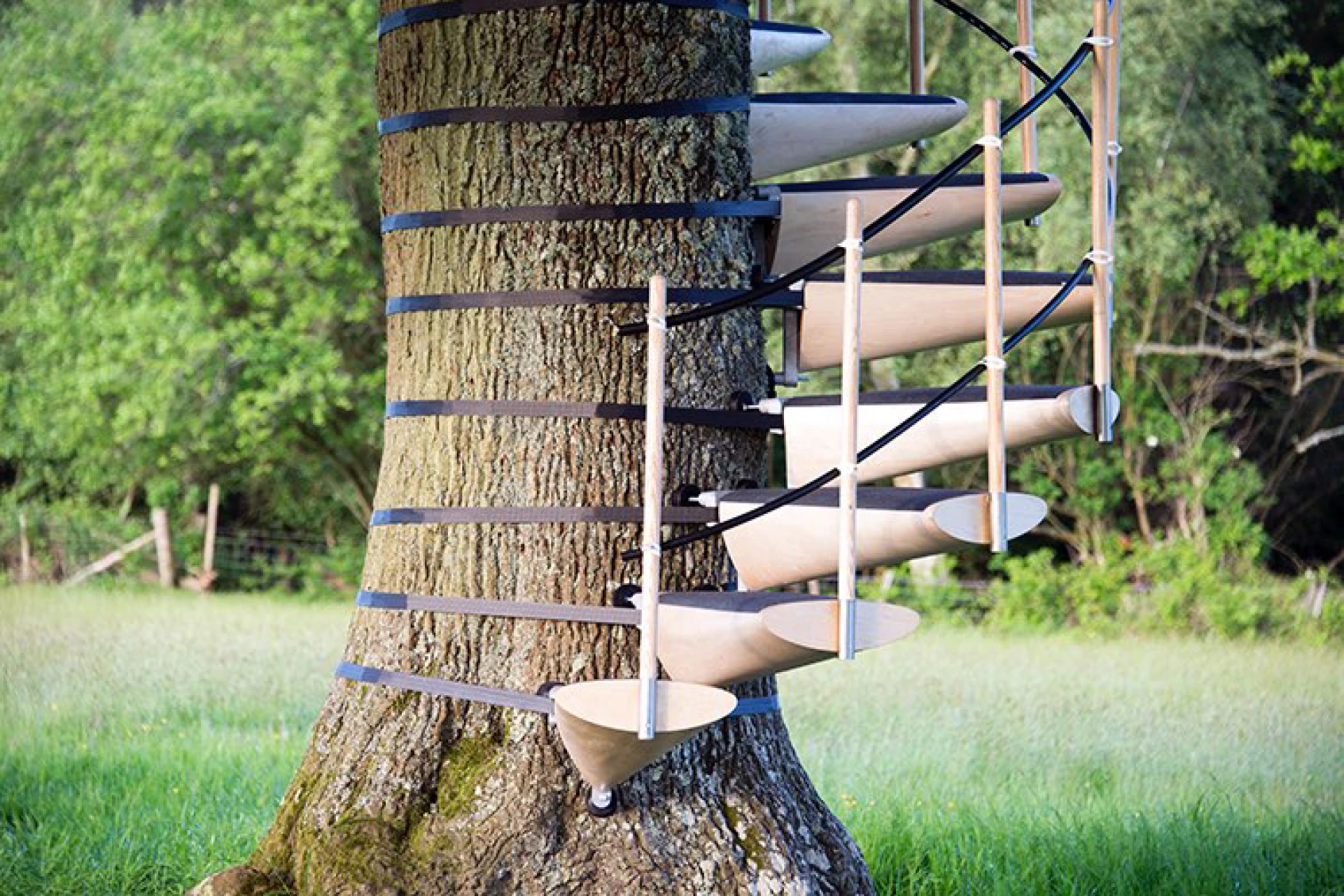 CanopyStair helps you traverse the treetops