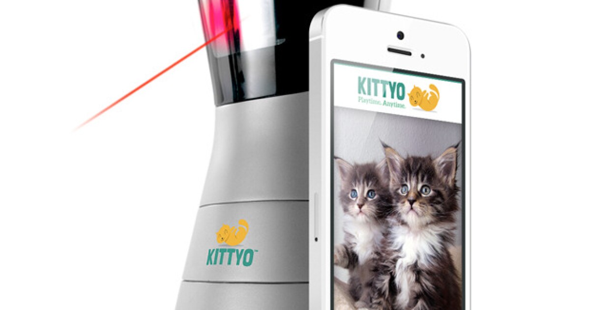 Kittyo lets owners play with their cat by remote control