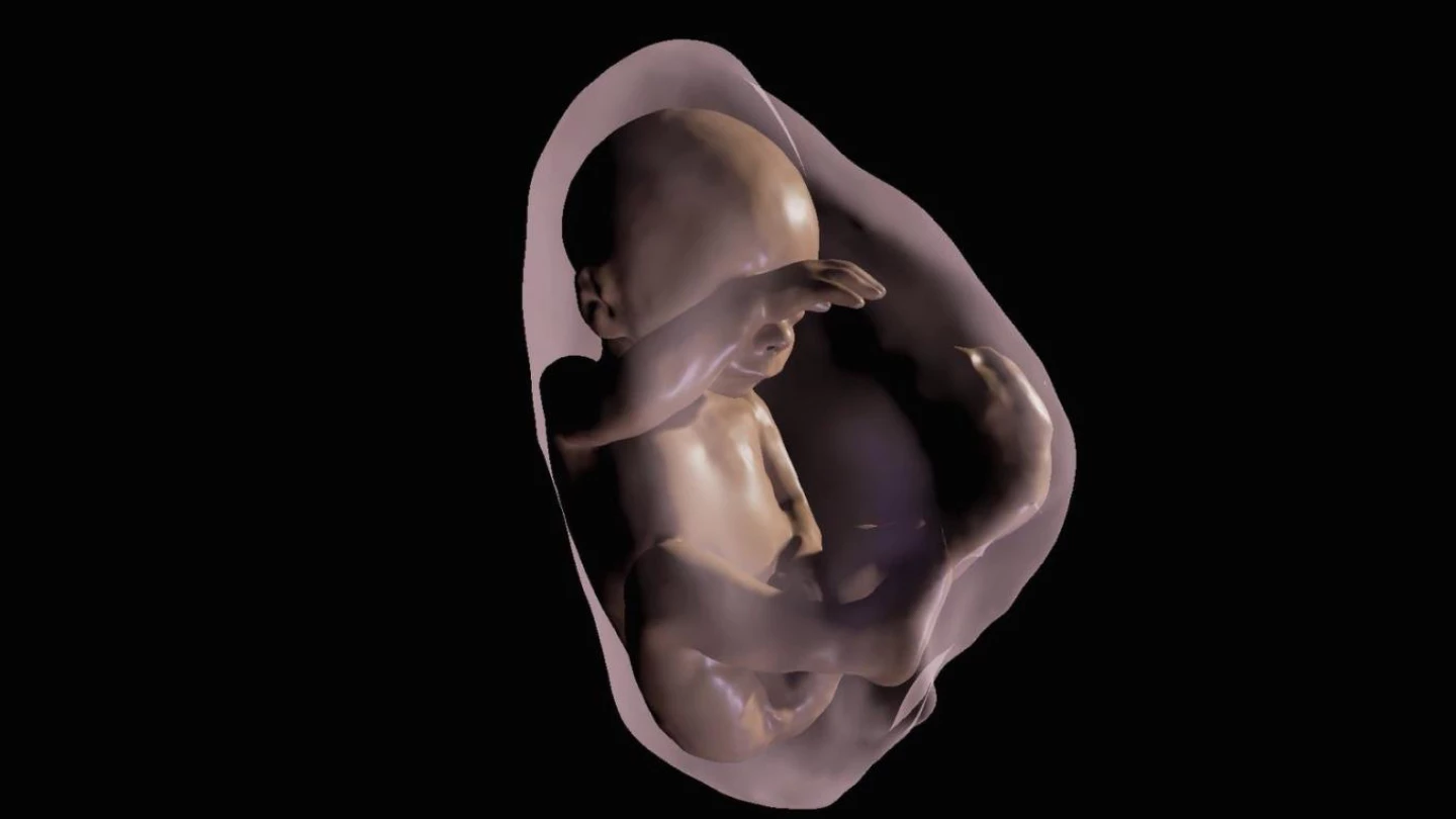VR lets expecting parents tour the womb for an early meeting with their ...
