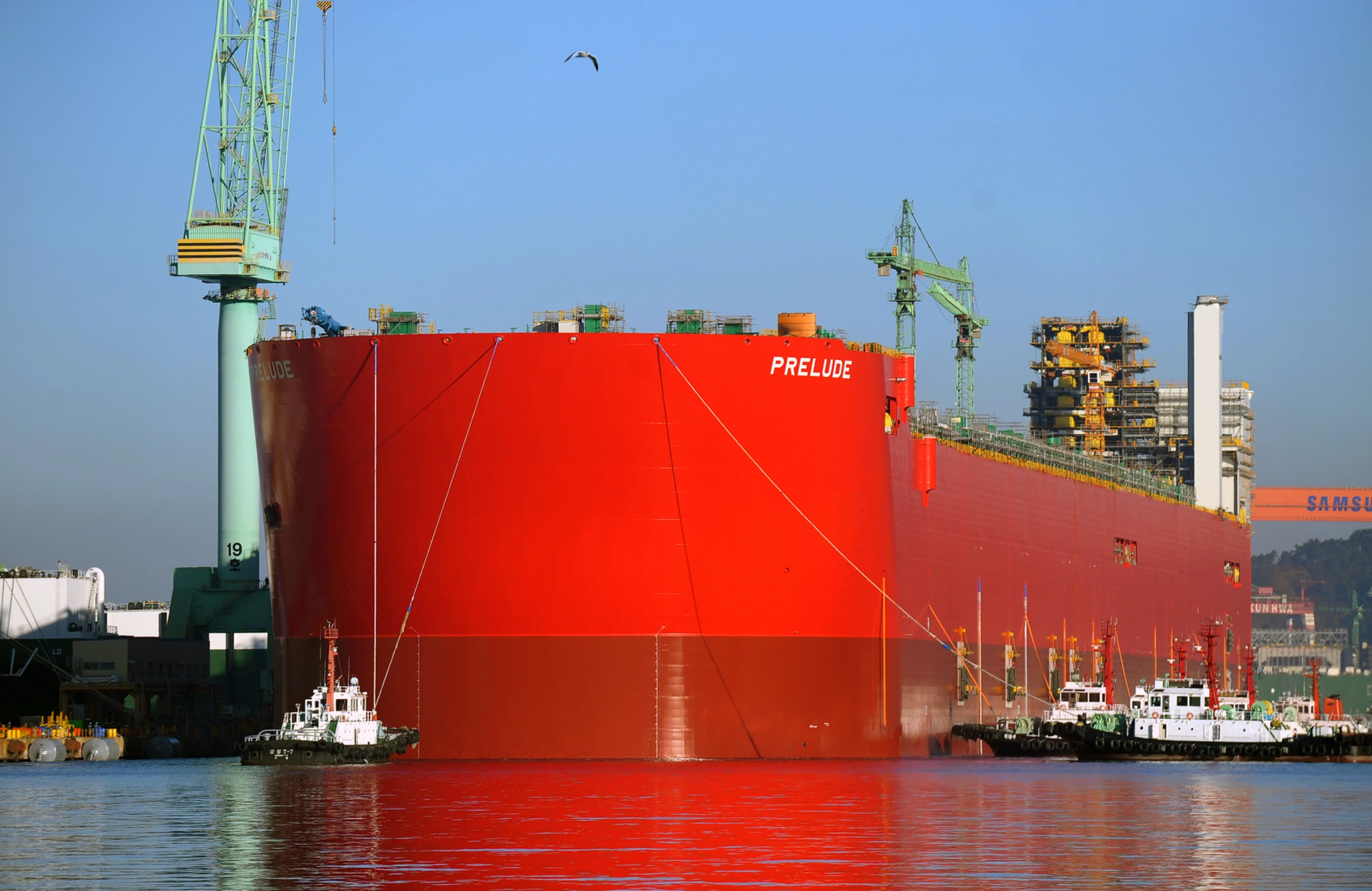 World's largest ship floated for the first time