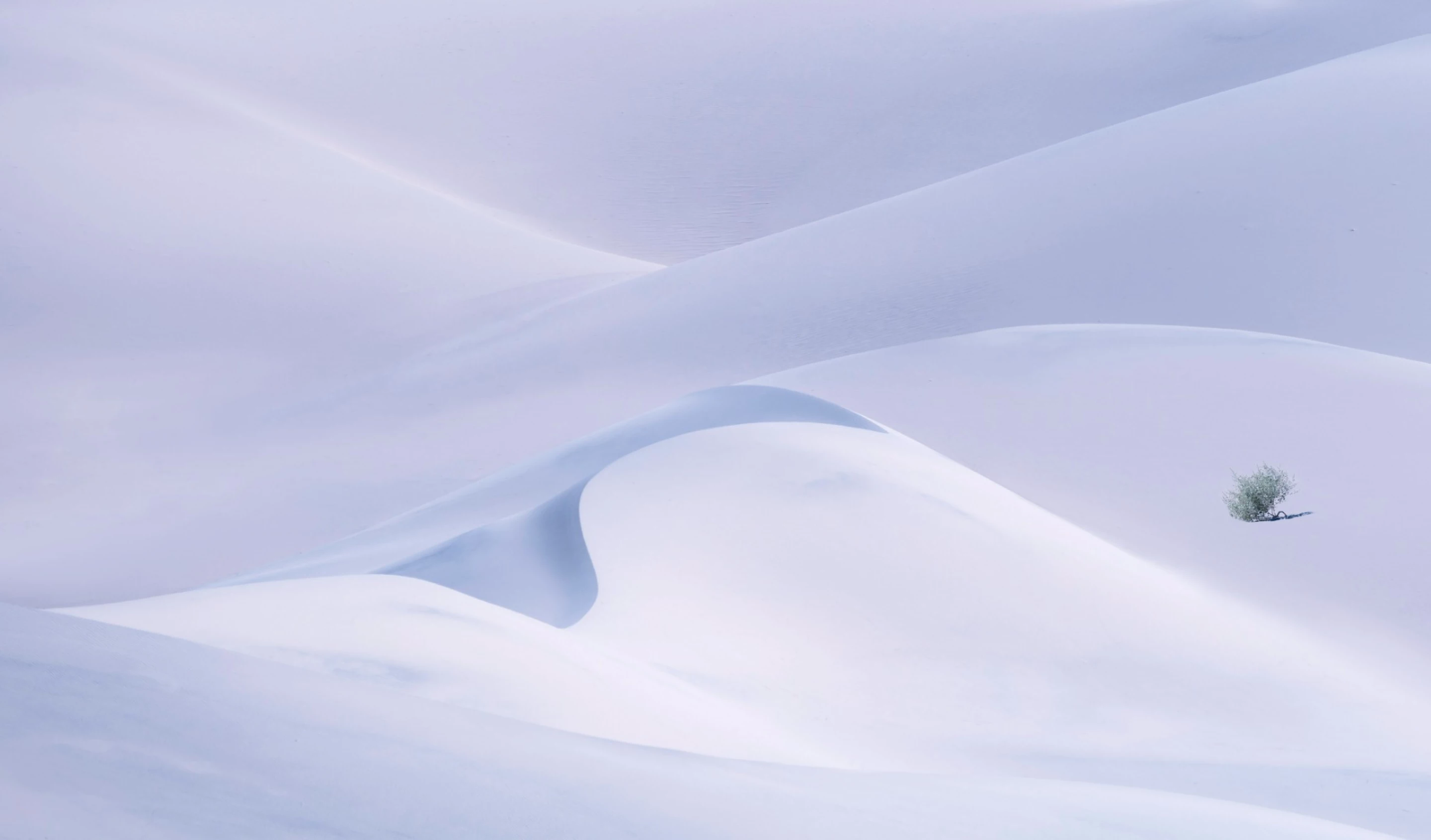 Majestic views: The winners of the International Landscape Photographer ...