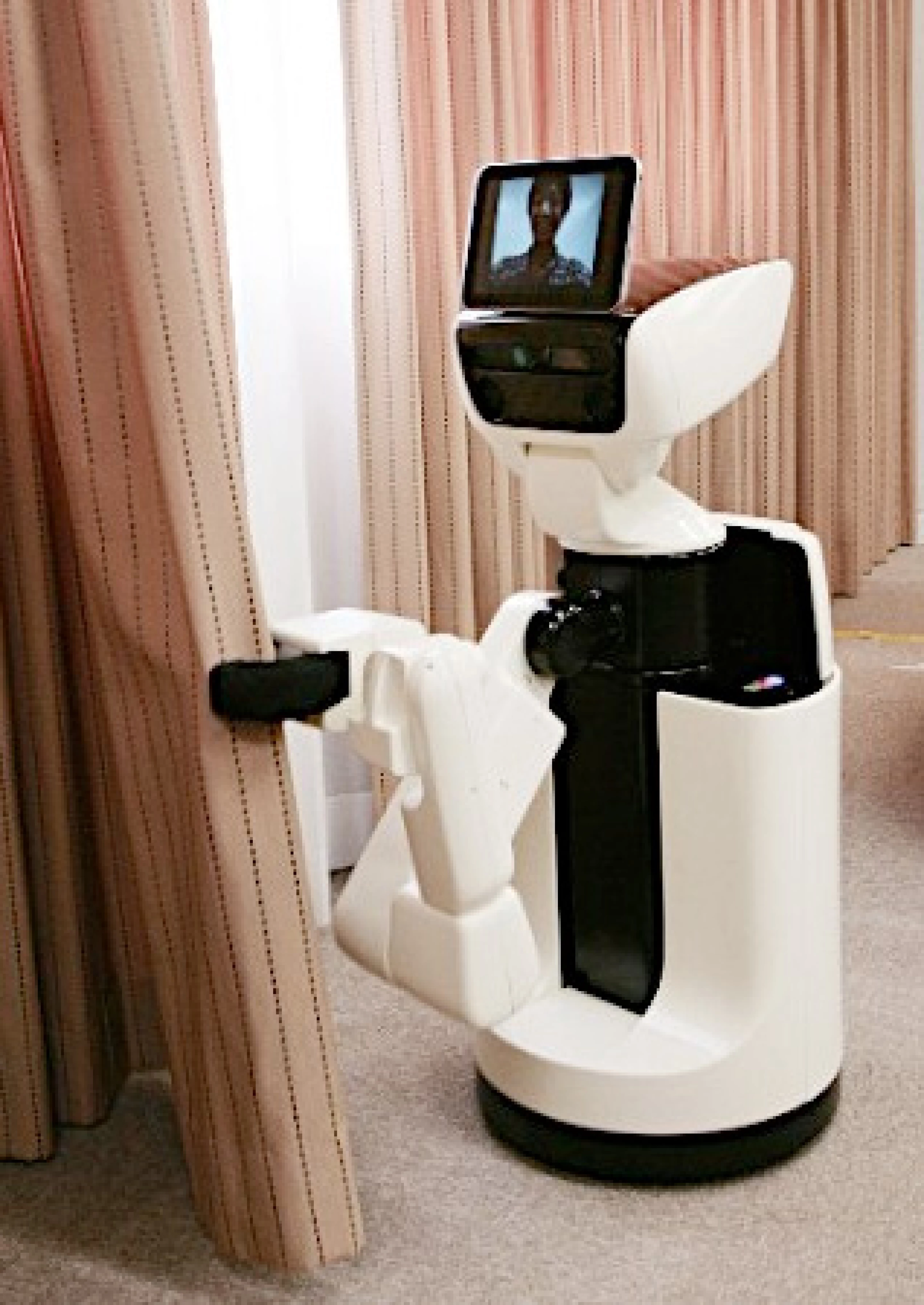 Toyota unveils helpful Human Support Robot