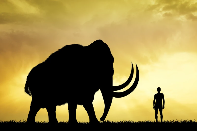 Resurrecting the mammoth: Elephant breakthrough gets us a step closer