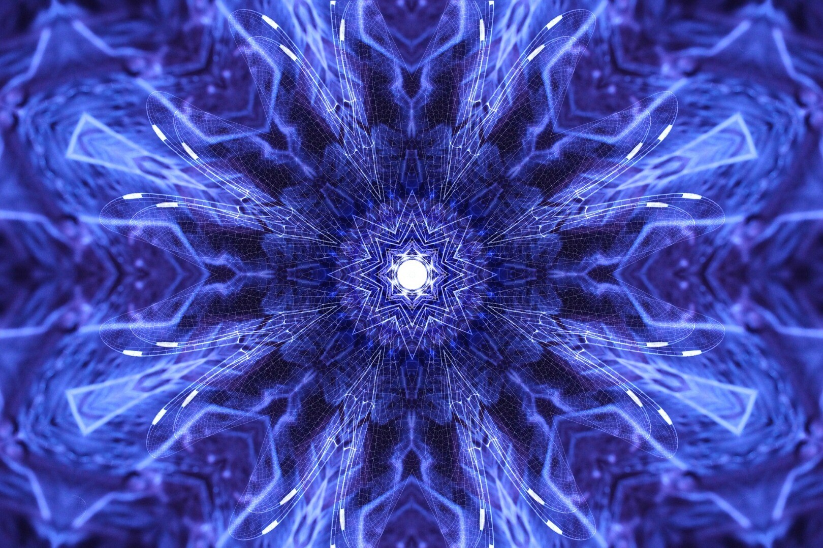 Psychedelic Medicine 101: DMT and the near-death experience