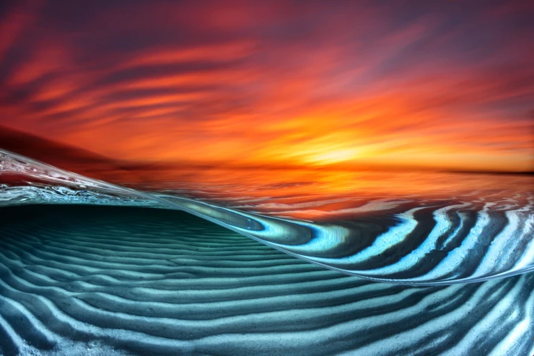 Ocean Art contest winners highlight the amazing spectacle of the Big Blue