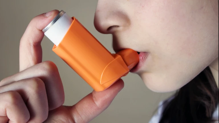 Airway muscle-on-a-chip to aid in search for new asthma treatments