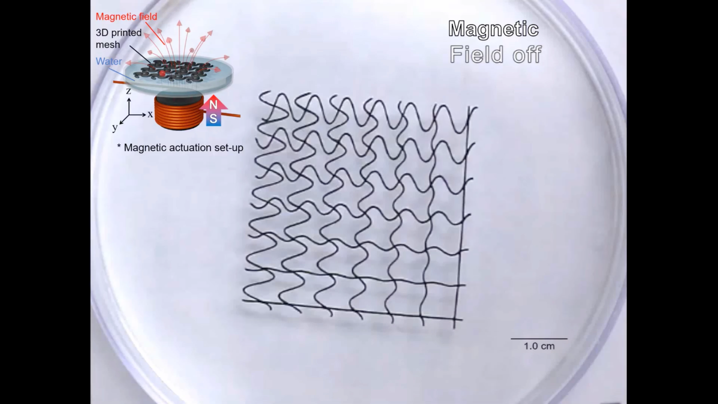 3D printed, magnetic mesh "robots" float, bend and grab on demand