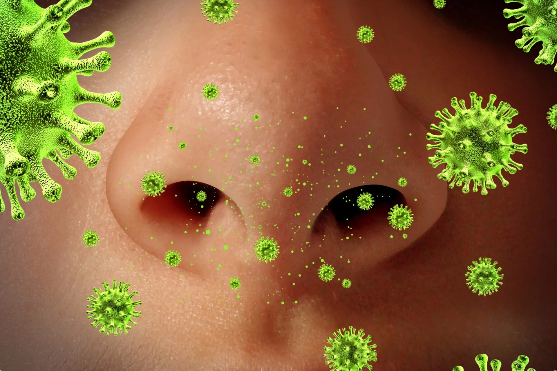 Flu-fighting cells found in the nose could lead to a universal "one ...