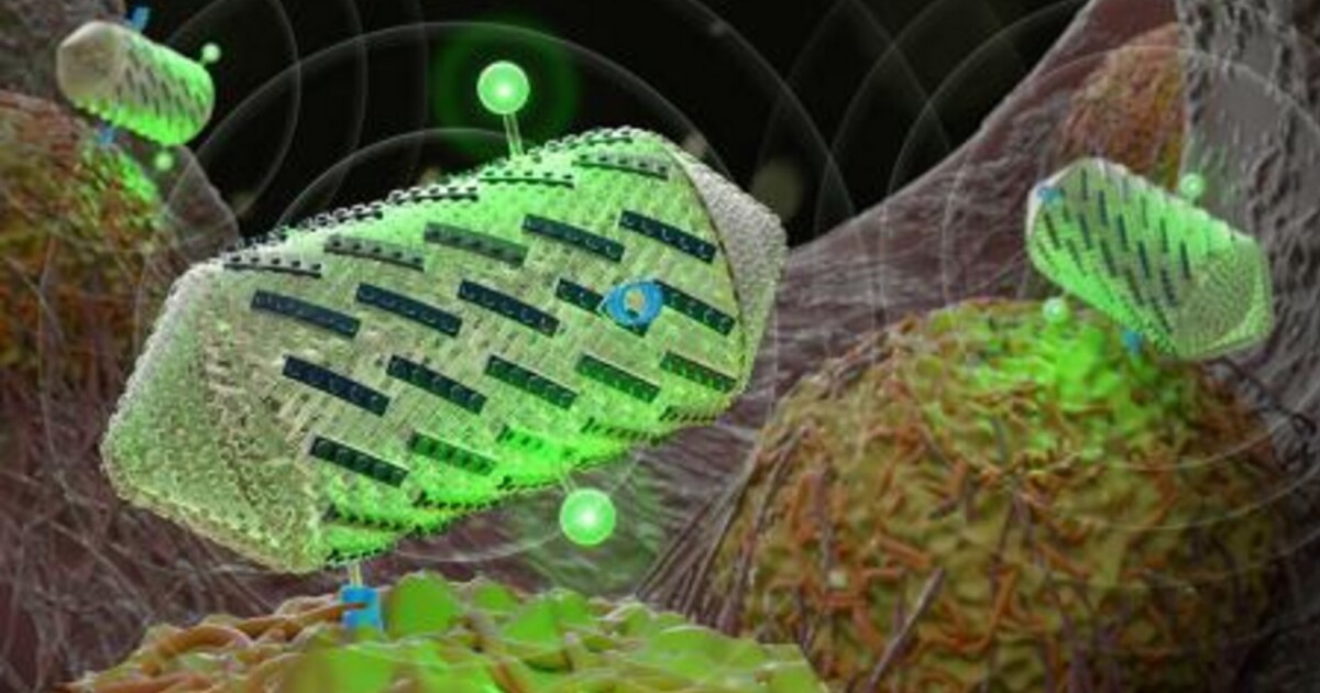 Engineering 'lego-like' proteins to create color ultrasounds