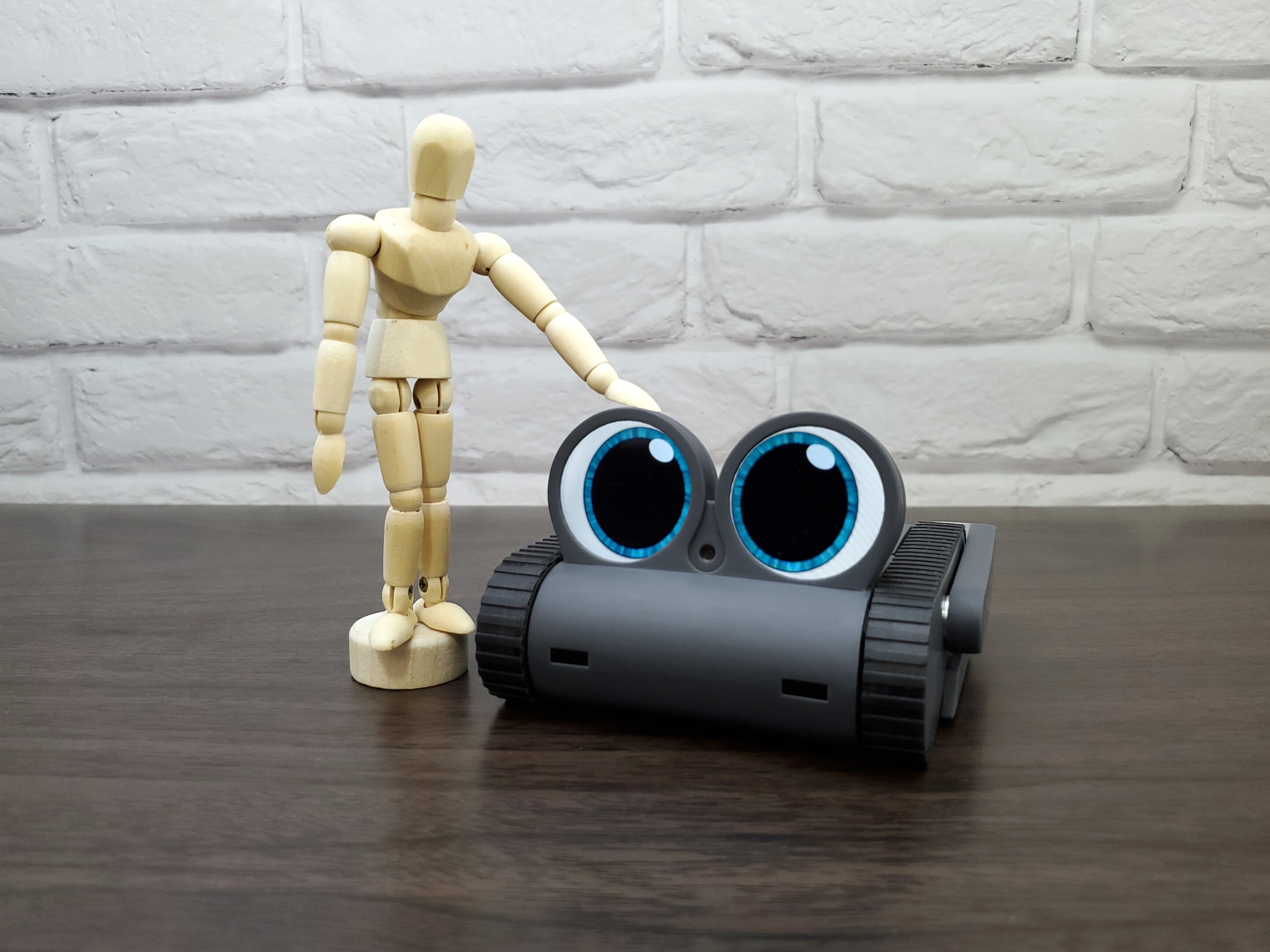 Adorable buddy bot aims for the hearts and minds of future roboticists