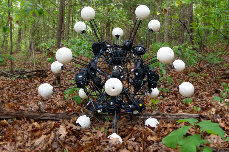 20-legged robot achieves movement symmetry