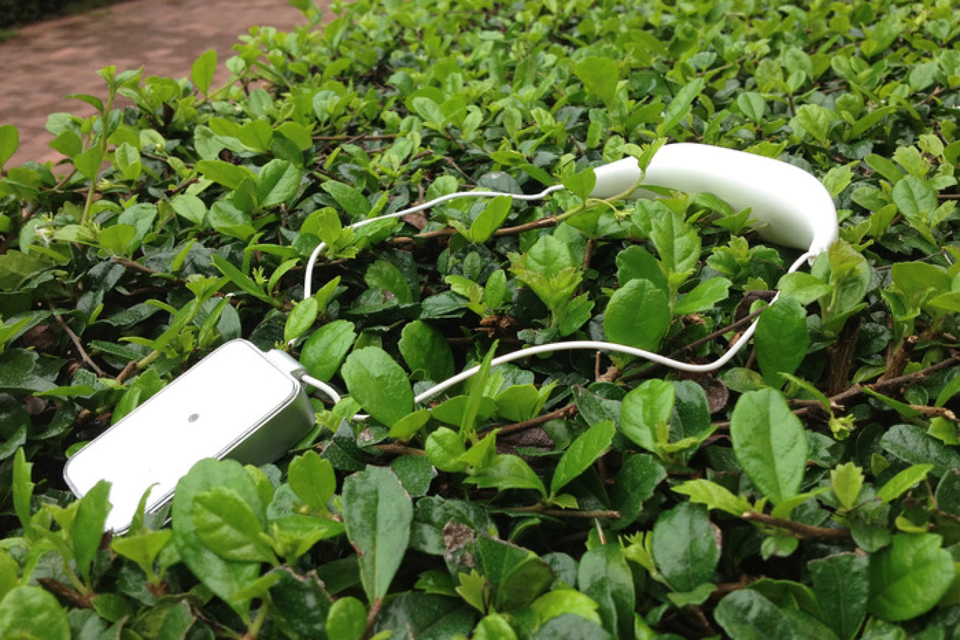 ParaShoot hangs around to record your life