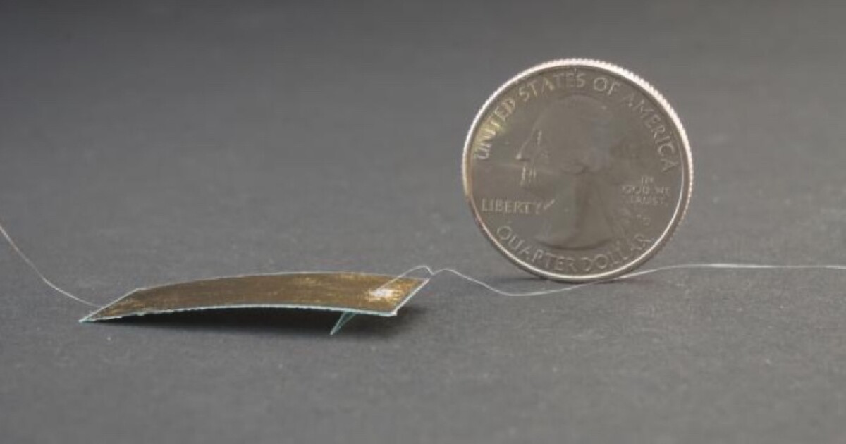 Cockroach-inspired robot survives being stepped on