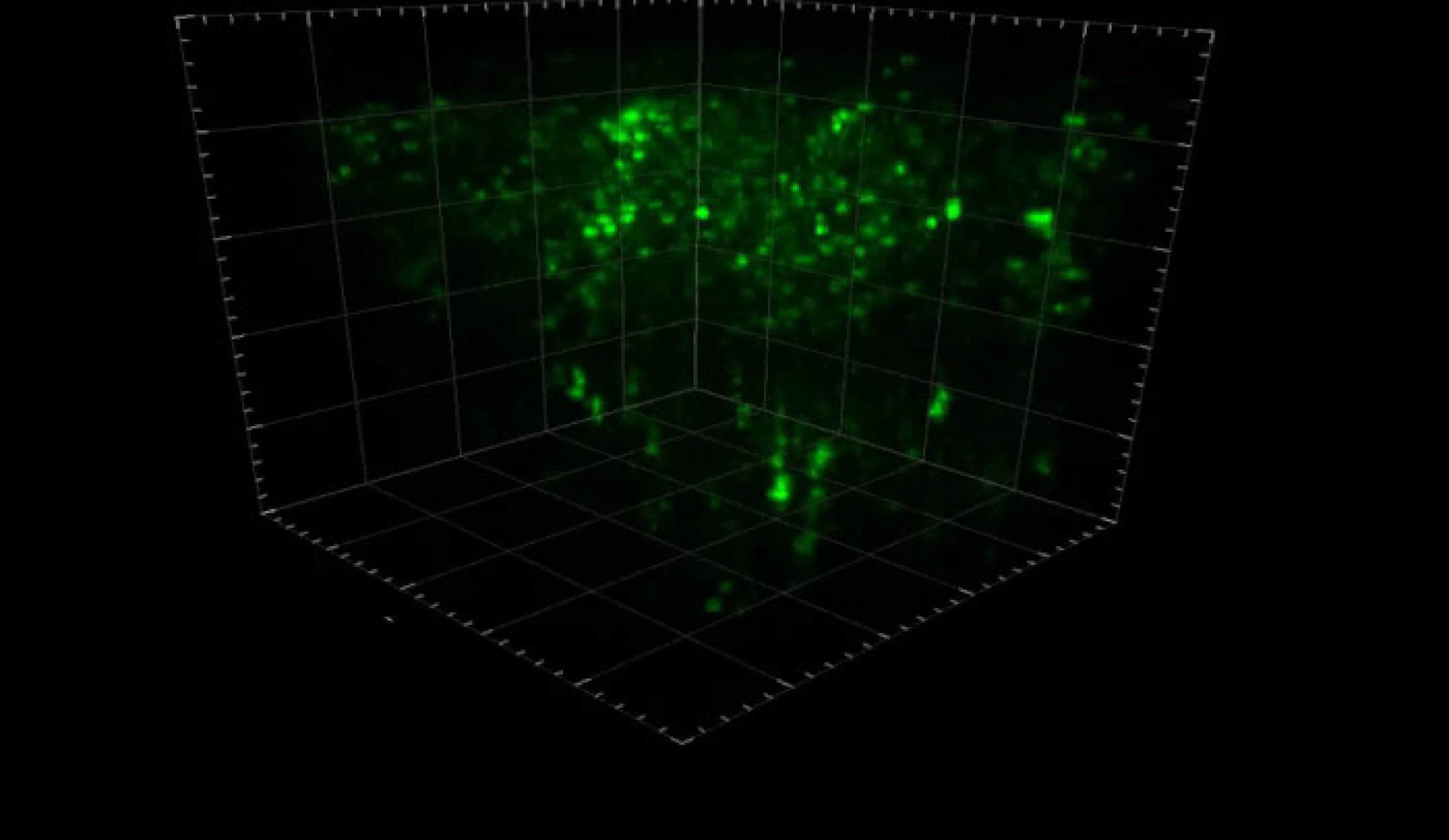 Light sculpting technique records neurons firing inside a mouse's brain