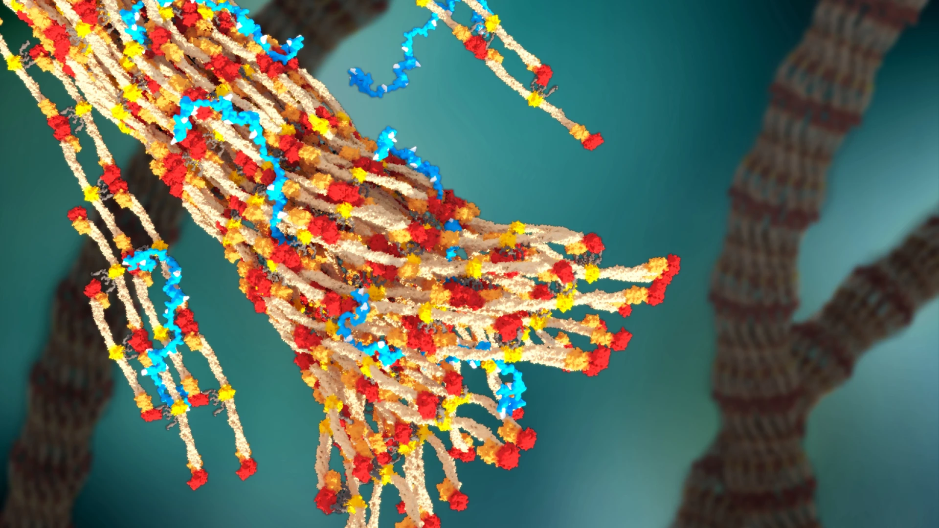 Injectable polymer curbs blood loss by strengthening clots