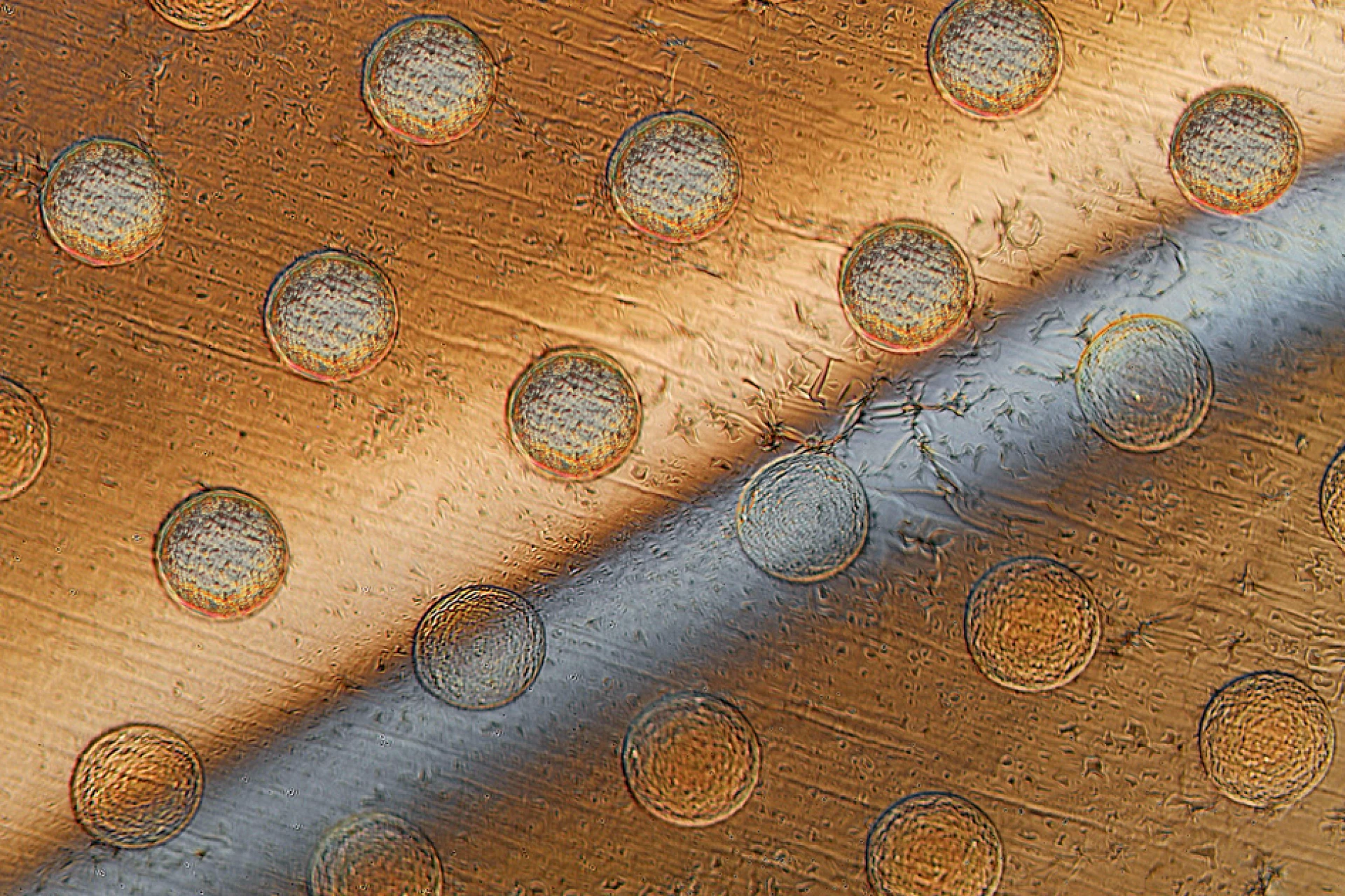 MIT punches out cell-sized robots made of graphene