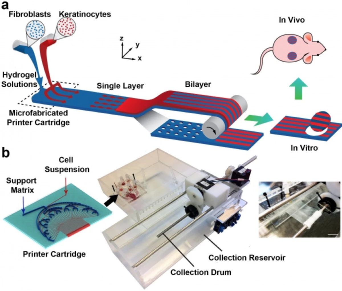 PrintAlive 3D bioprinter creates on-demand skin grafts for burn victims