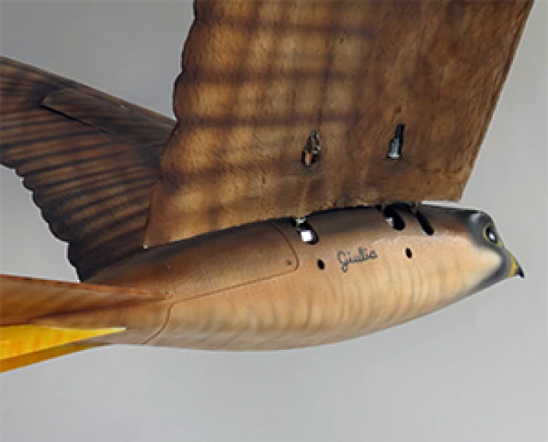Robotic raptors look and fly like the real thing