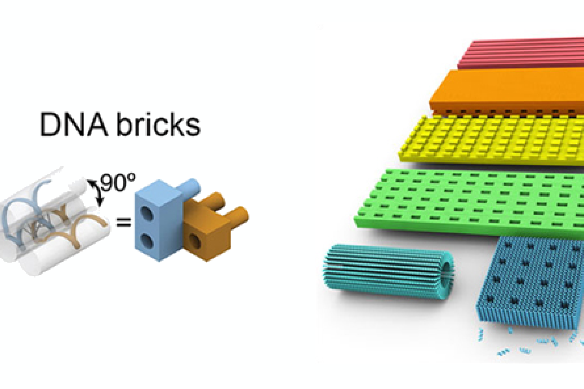 Large 3D nanostructures built from Lego-like DNA bricks