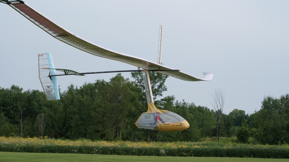 ornithopter takeoff