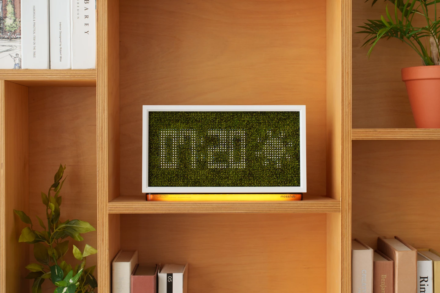 World's oldest land plants turn smart tech into a relaxing mini forest