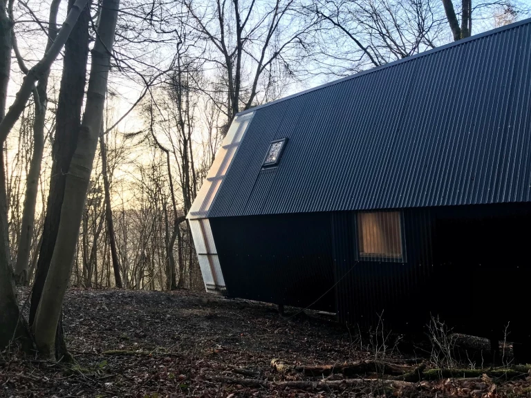 Tiny cabin in the woods built for a tiny price