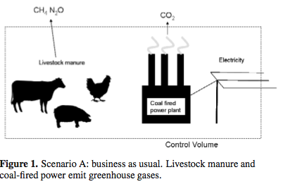 Cow Power potential is no bull