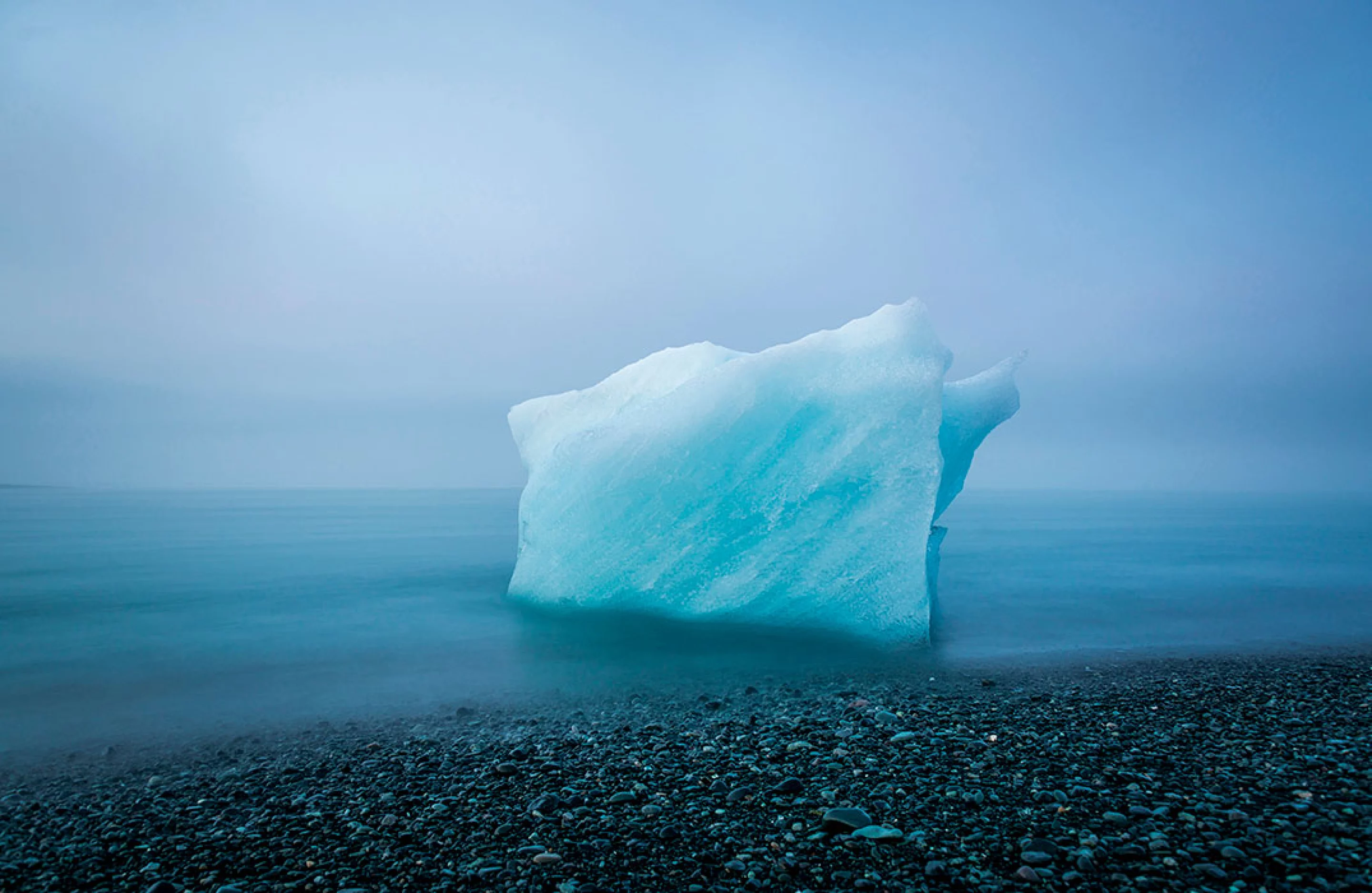 The astonishing Nature Conservancy Photo Contest winners