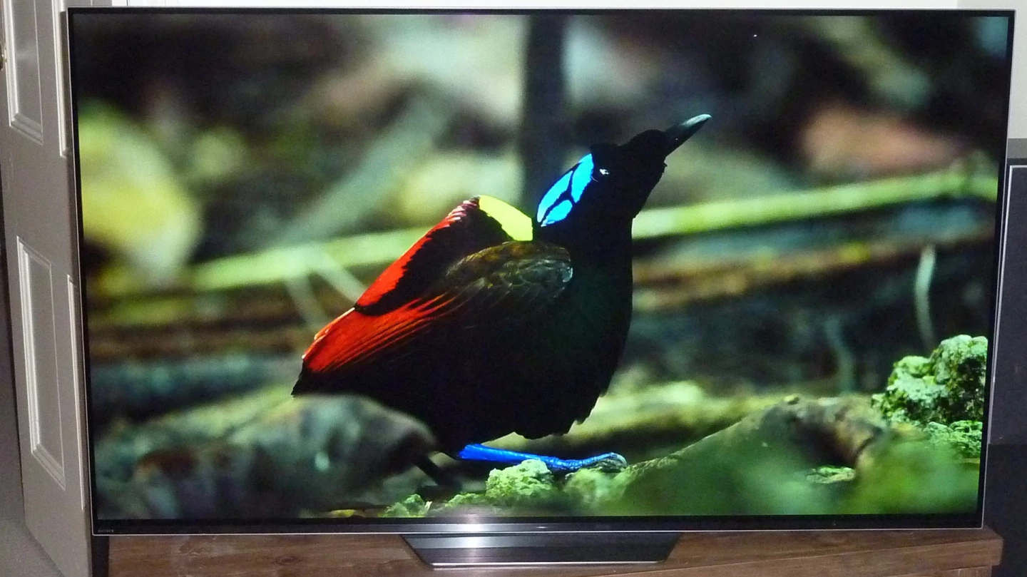 Review: Sony A8F OLED TV boasts brains and beauty
