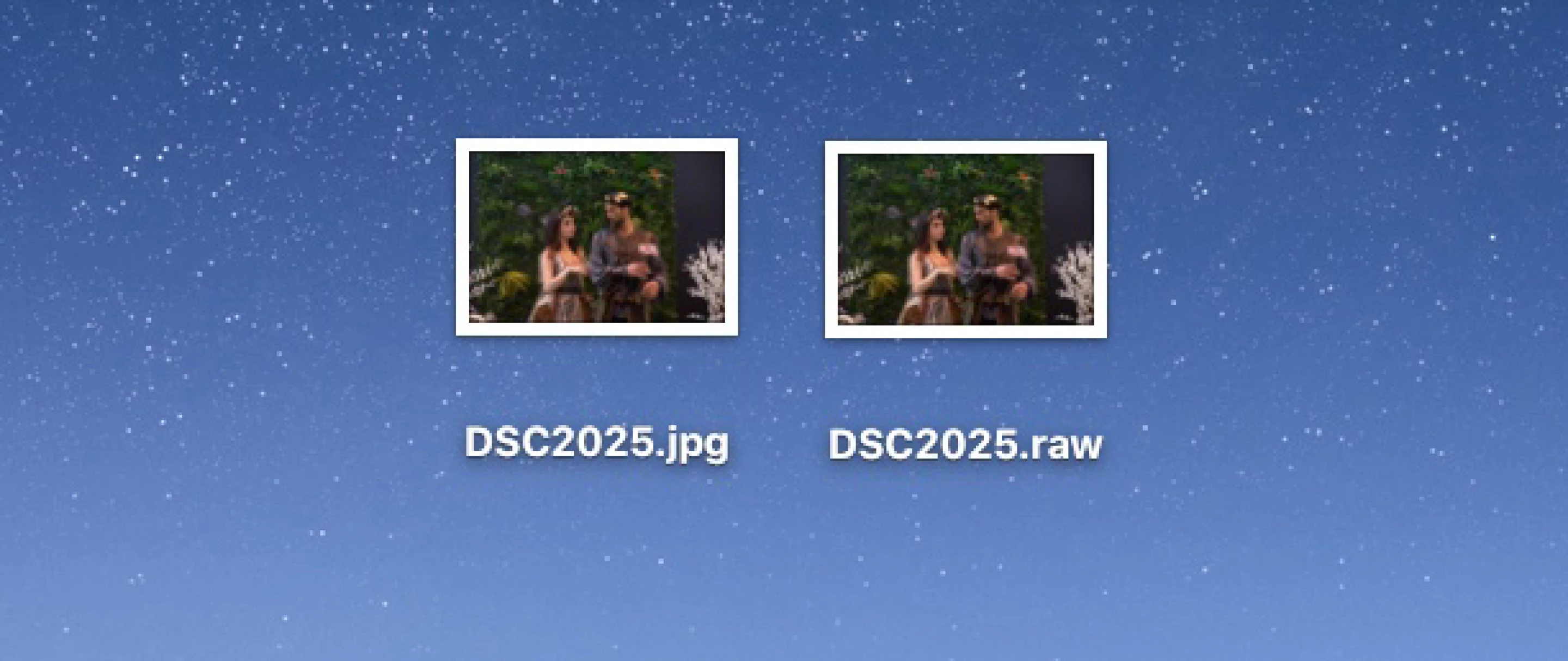 Getting out of Auto: Why you should probably be shooting RAW