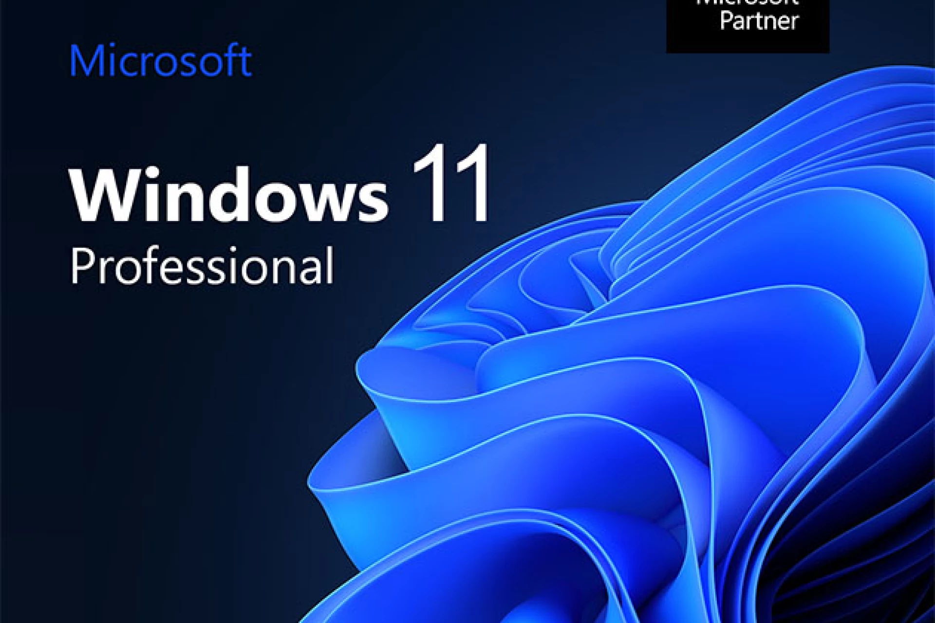 Upgrade to Windows 11 Pro and improve your online experience