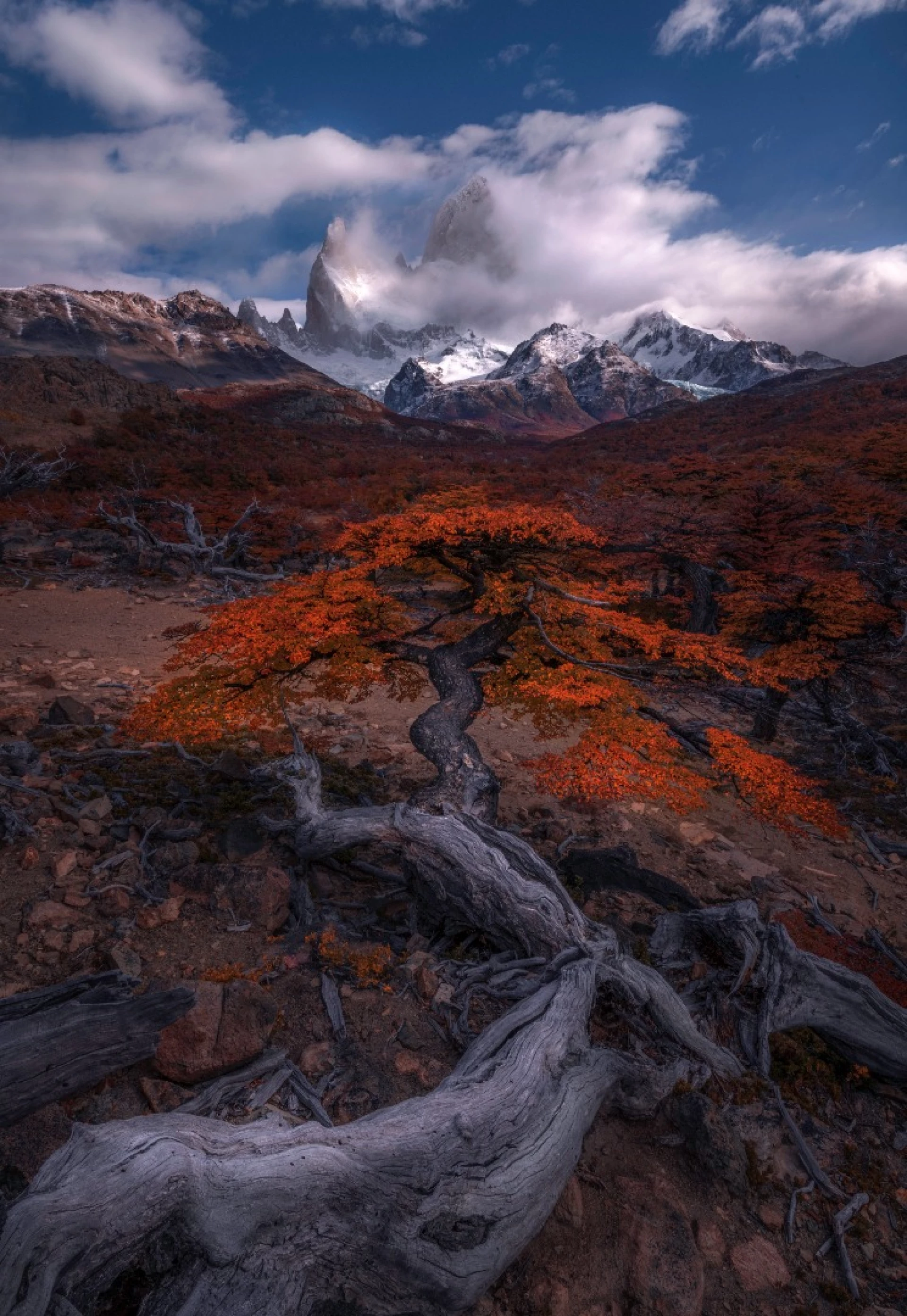 Majestic views: The winners of the International Landscape Photographer ...