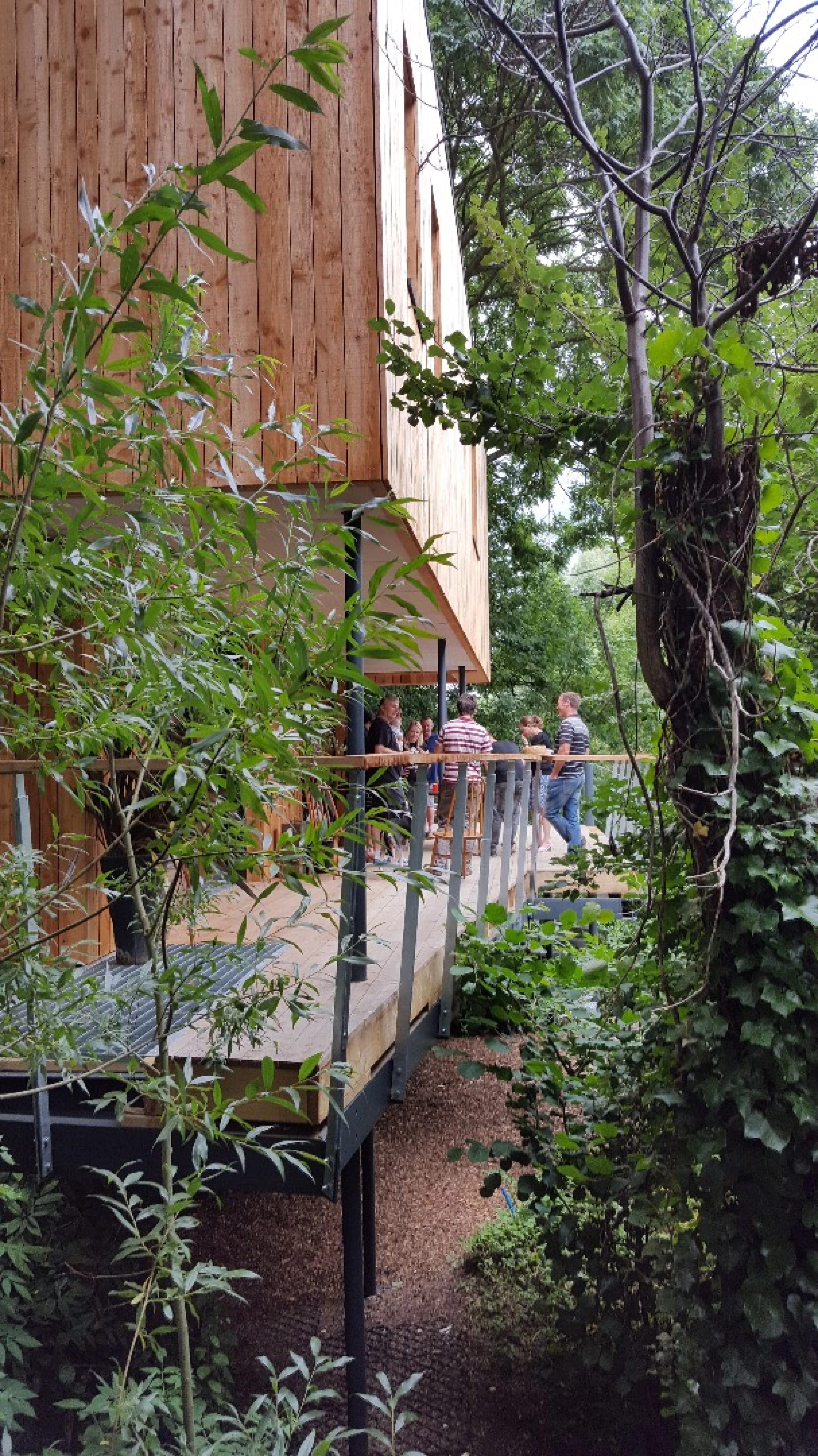 Dursley Treehouse goes high to get over planning hurdles