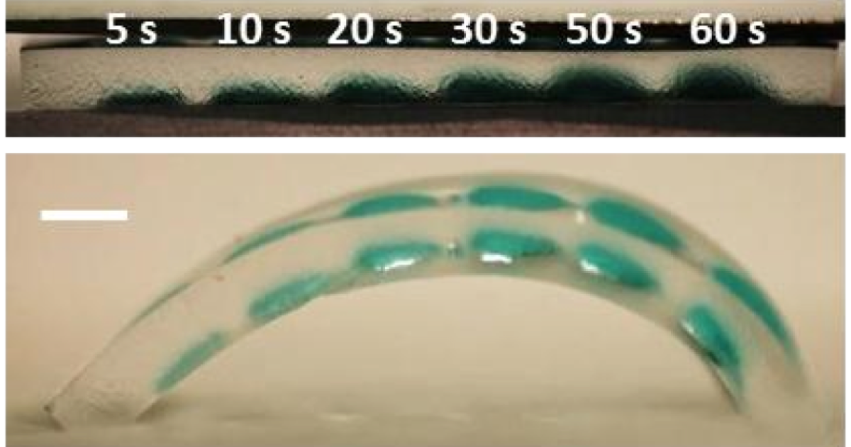 Electrically-charged hydrogel has applications for soft robotics and ...